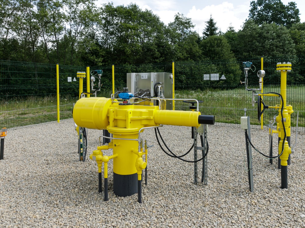 Gas flow through Lithuania to Latvia increased by almost one third ...